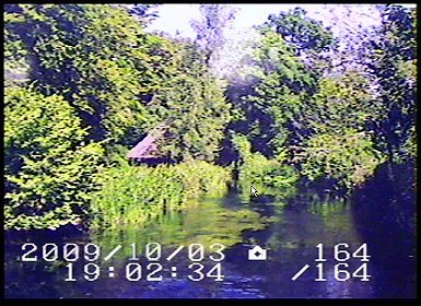 Technical Data - Sentient 420 TVL CCTV w/ Built-in DVR 46 LED IR SONY ...